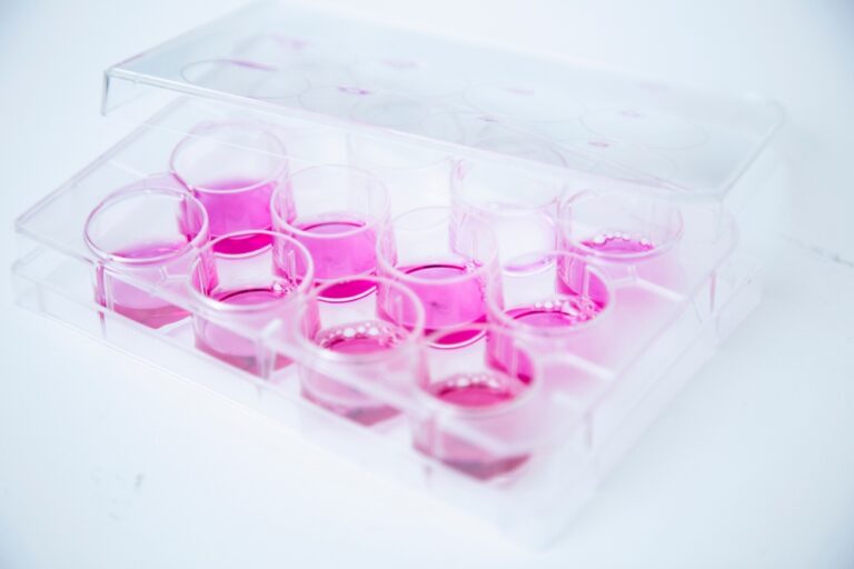 Using bioprocess containers for cell isolation - ALLpaQ Packaging Group